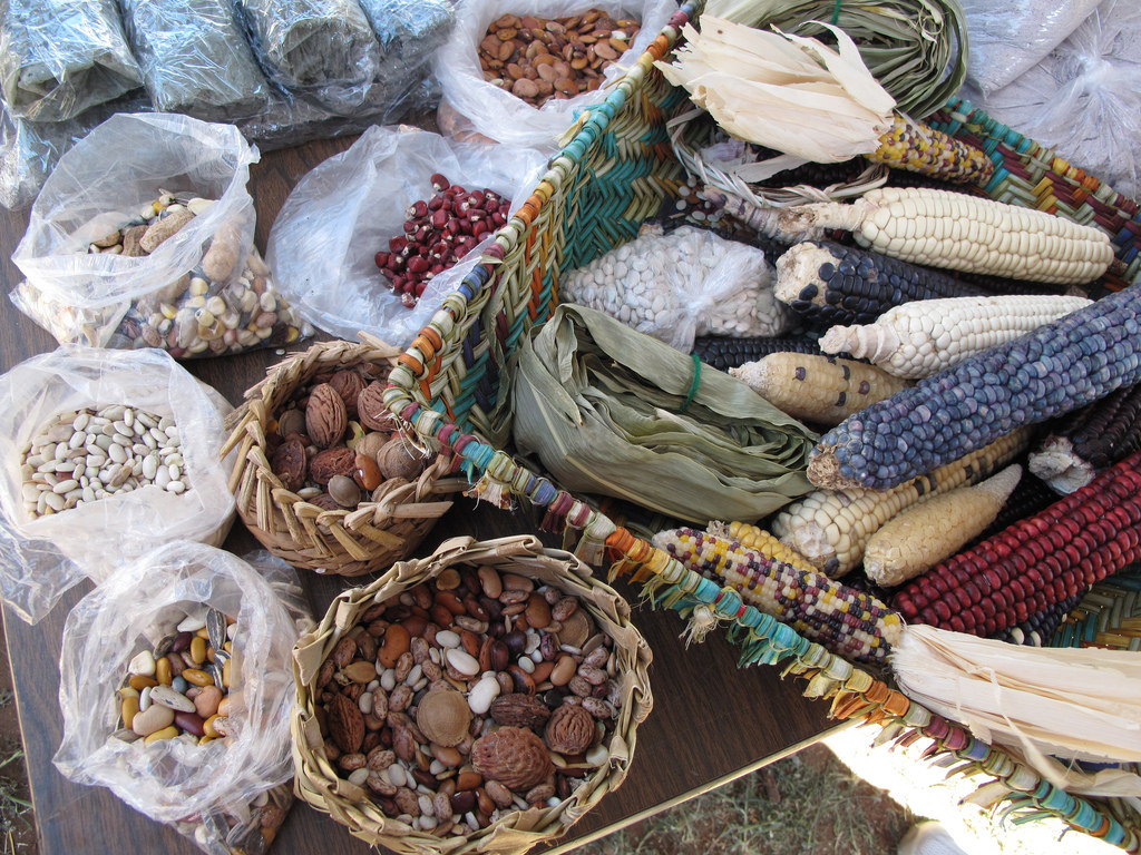 Sustainable Living Tucson: Hopis: Protectors of Earth and Water