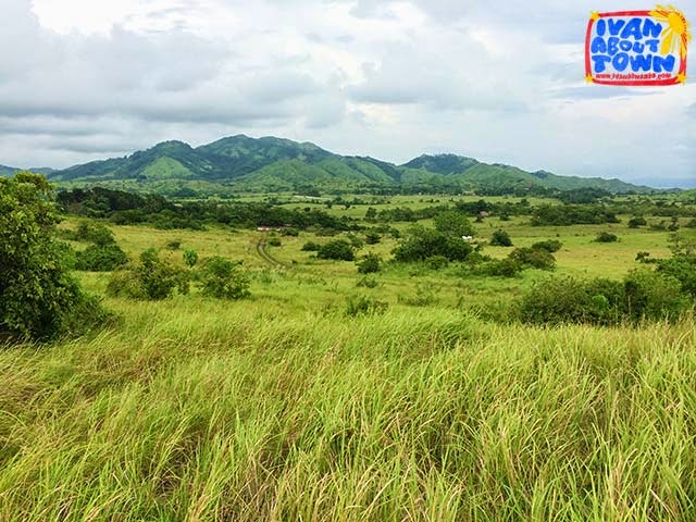 Ranch tourism in Masbate: Be a ranchero for a day! Holy cow! | Ivan ...
