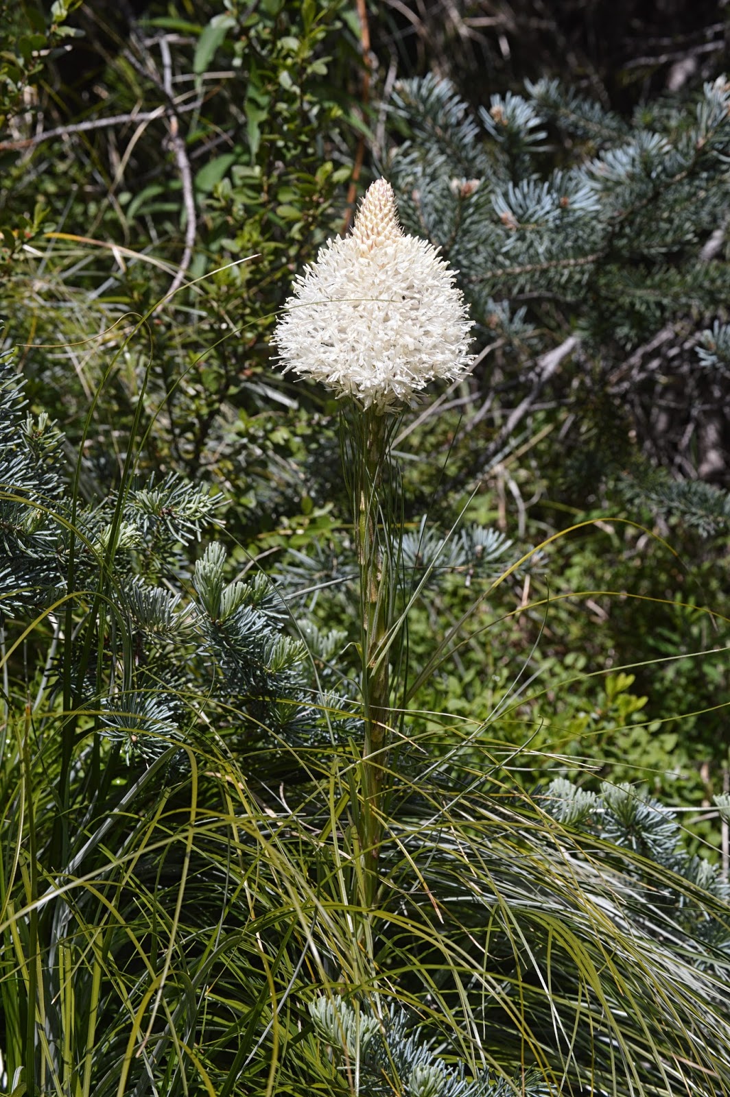 Geologic Adventures: 2016