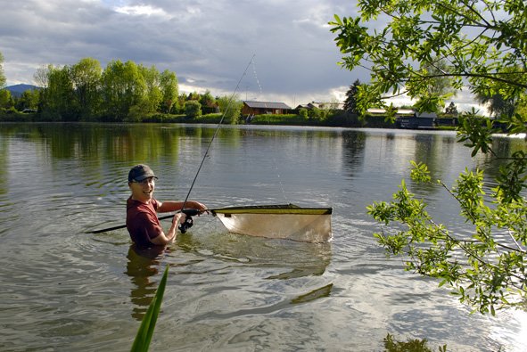 Karpfen, Barsche und nochmal Karpfen - Angelforum
