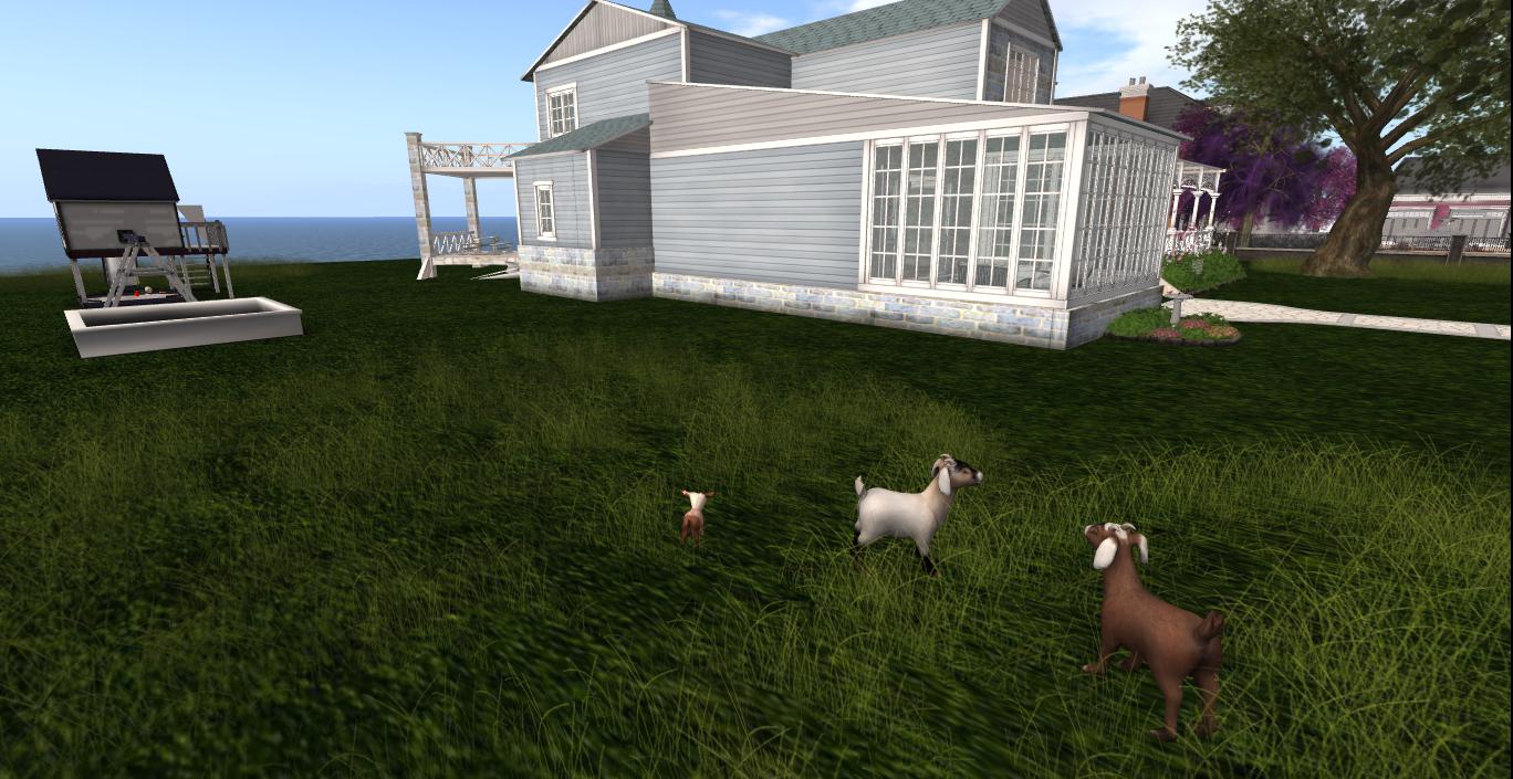 TOP RP FAMILY SIMS - TEA COUTURIER REPORTING ~ The SL Enquirer