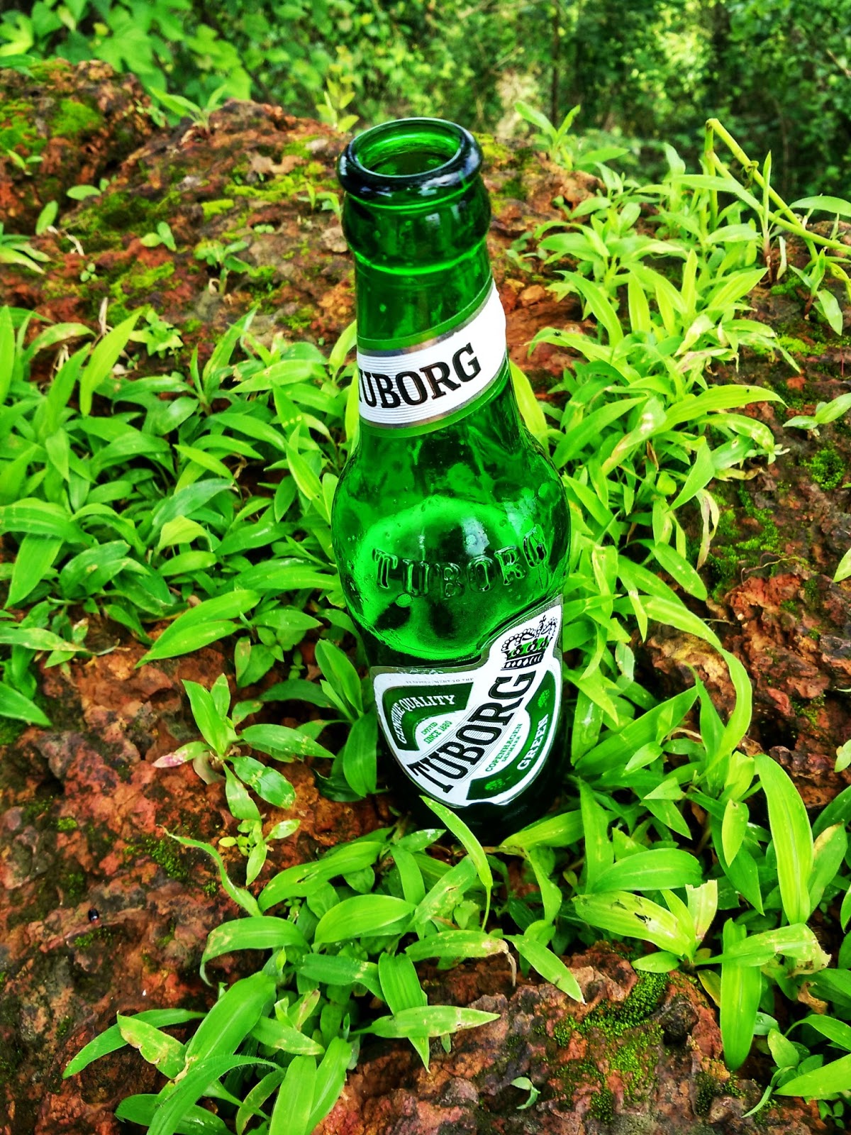 David Da Costa's High Five: Beer Belly: Top 5 beers under 100 Rupees in ...