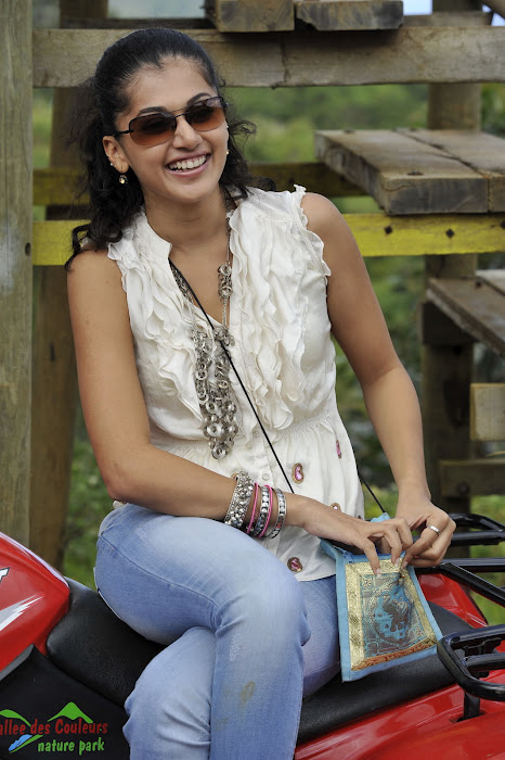 High Quality Images: Tapsee Latest Hot Photoshoot