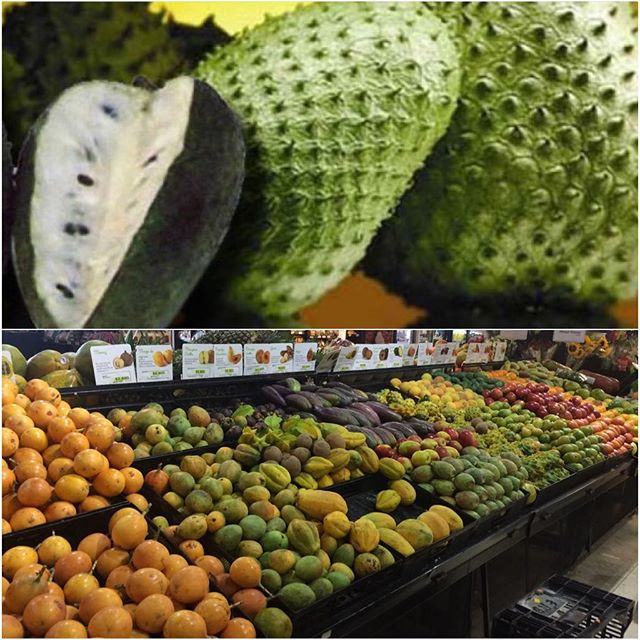 Cure Yourself!: THIS FRUIT KILLS MALIGNANT CELLS OF 12 DIFFERENT TYPES ...