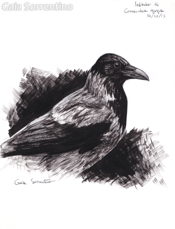 Gaia Sorrentino - Disegnatrice Naturalista : Inktober - Tortora e ...