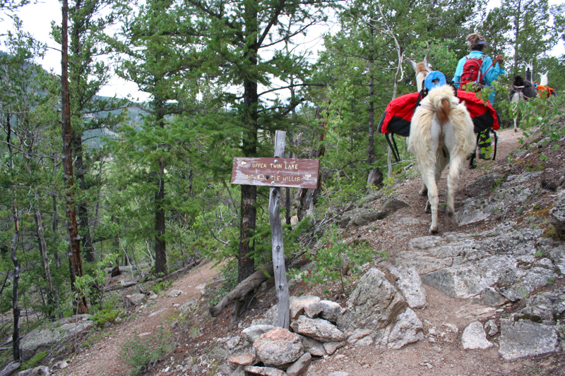 Colorado Lifestyle: Hope Pass