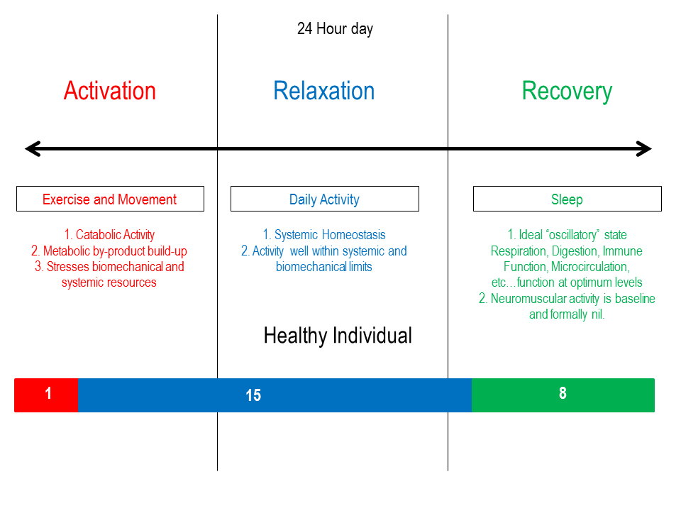 The Fascia Therapy Blog