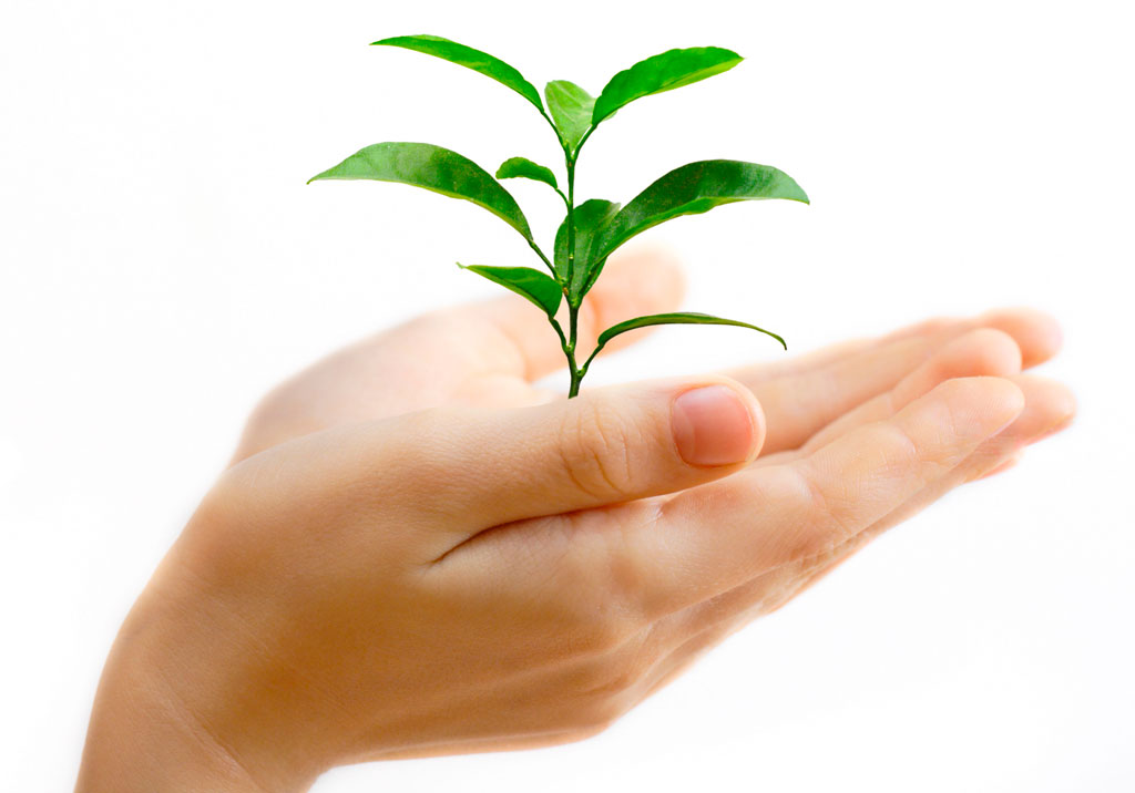 Life Commitment (The Secret Daily Teachings) | Law of Attraction Plus ...