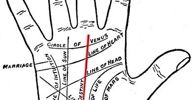 Fate Line Guide: referred to our life path |Palm reading Guide