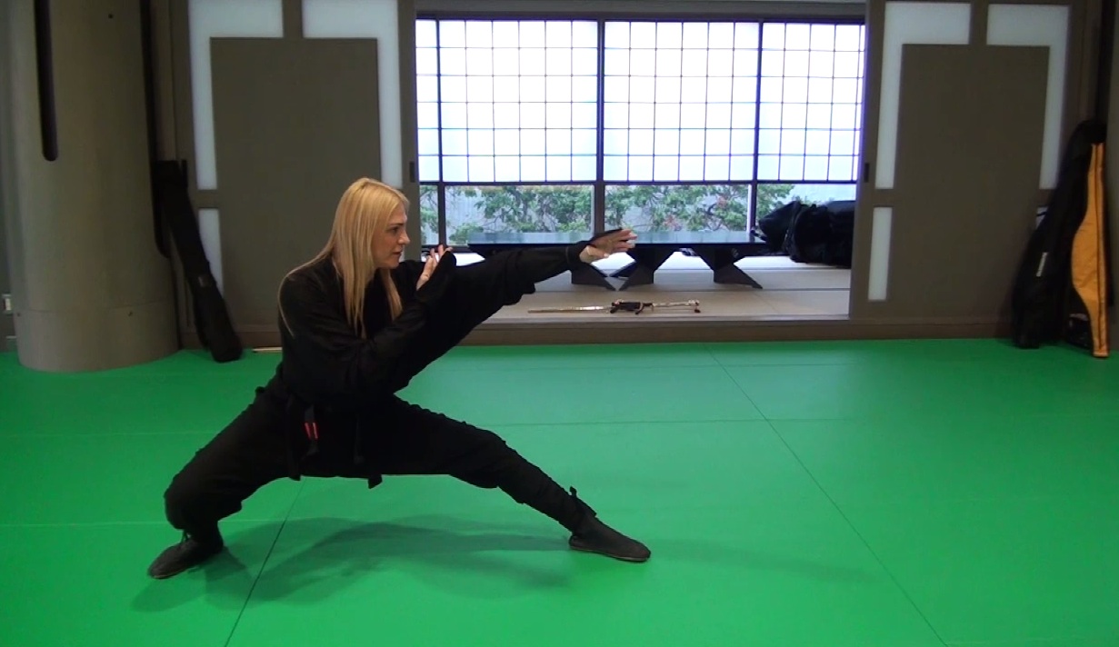 The Kunoichi Way of Ninjutsu