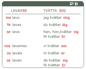 Español - spanska: SPANSKA ÅK 9