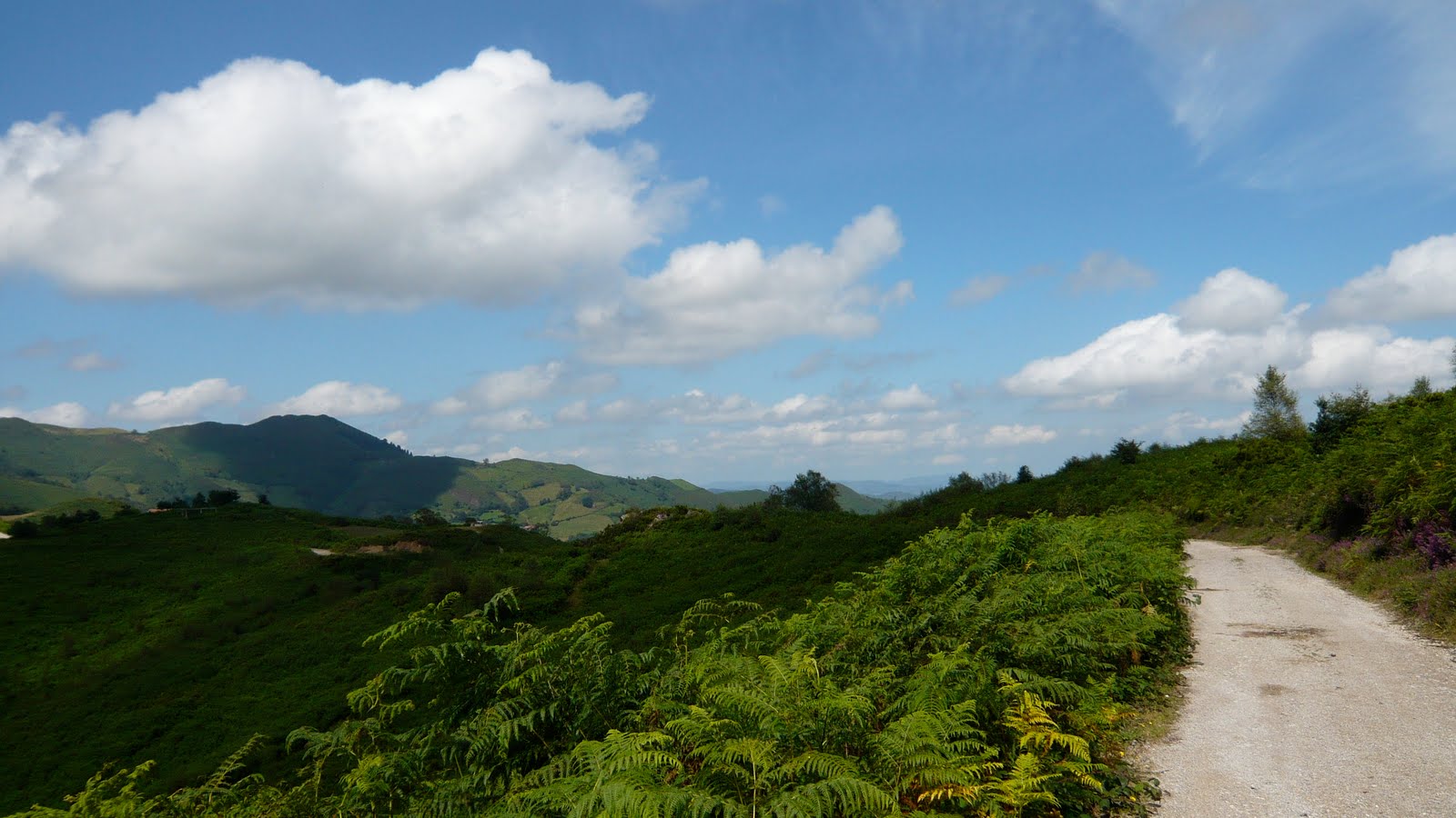 Límites del Verde: ¿Turismo Sostenible o Turismo Responsable?