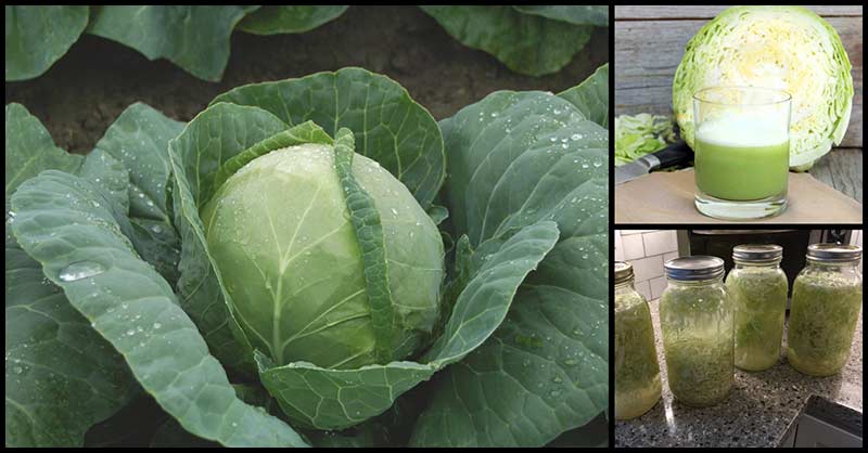 Looking For A Natural Relief That Can Help With Symptoms Of Stomach ...