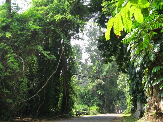7 Kebun Botani atau Kebun Raya yg terkenal di dunia ~ My Live My Adventure