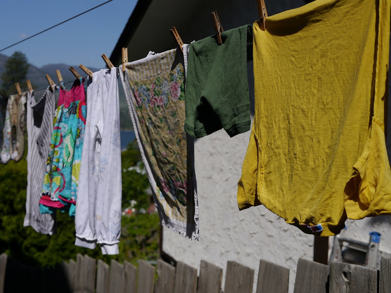 Seven Quick Takes Friday - Backwoods Mama