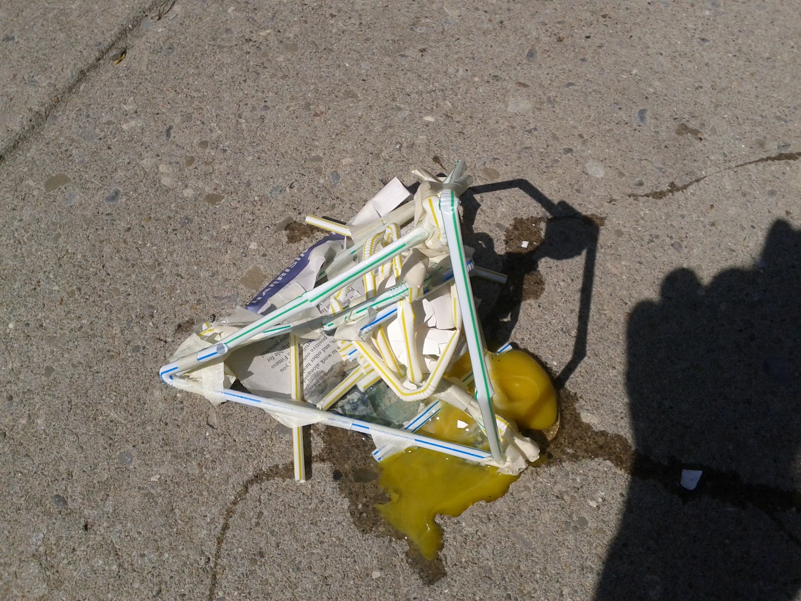 Earth and Space Sci: Egg Lander