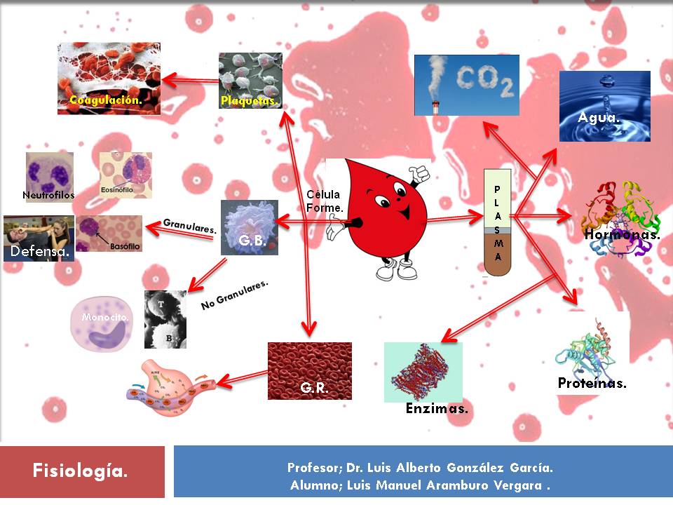 Chikis Blogs.: Mapa Mental Sobre Los Elementos Formes Y No Formes De La ...