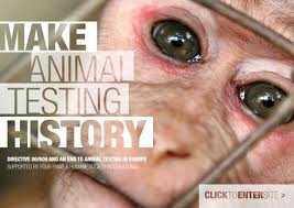 Stop Animal Cruelty: Animal testing.. Good or BAD!?