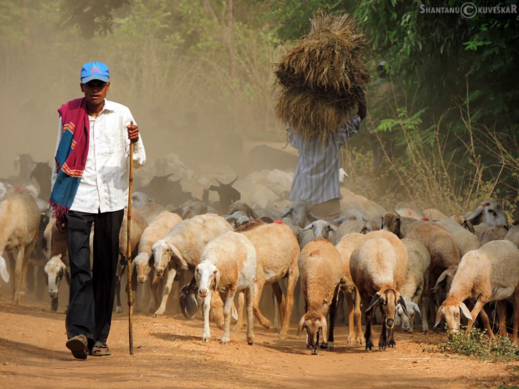 getty images and pictures: amazing pitures