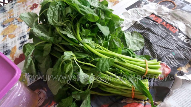 Cara Saya Lembutkan Batang Sayur Bayam - Ira Mommy Si Kembar