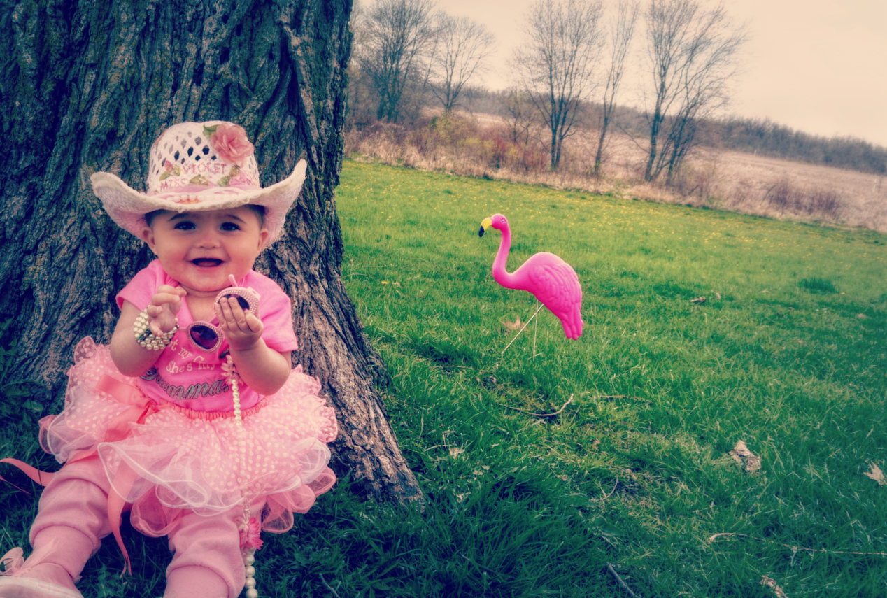 I Heart Violet: Sterling and Violet ~Flamingo in the park 5 3 16