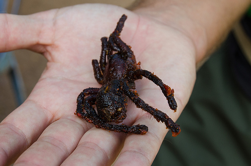 Street Food Collection: Fried Tarantulas in Cambodia