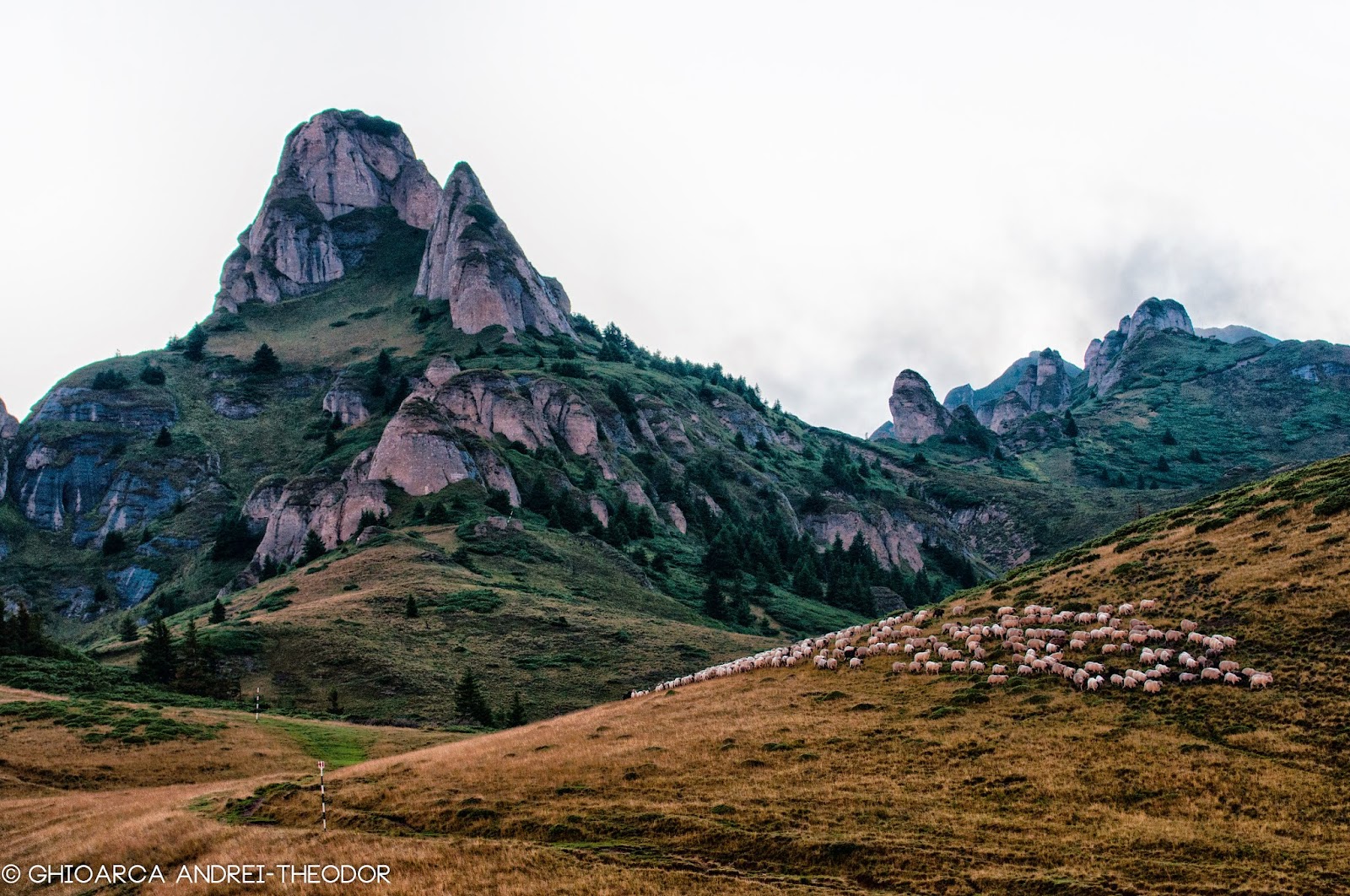 Munţomanul: Montaj video - Spre Varful Ciucas (1954m)