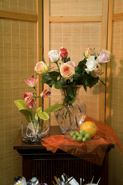 ART & SPIRIT by Artist, NORA KASTEN: 2011