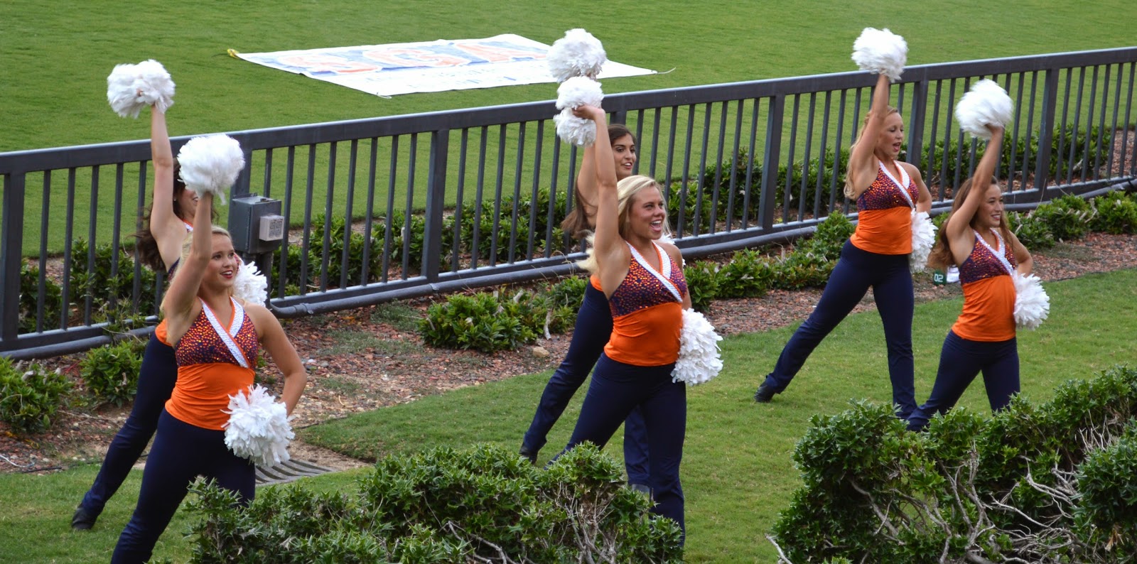 Tiger Paws Dance Team