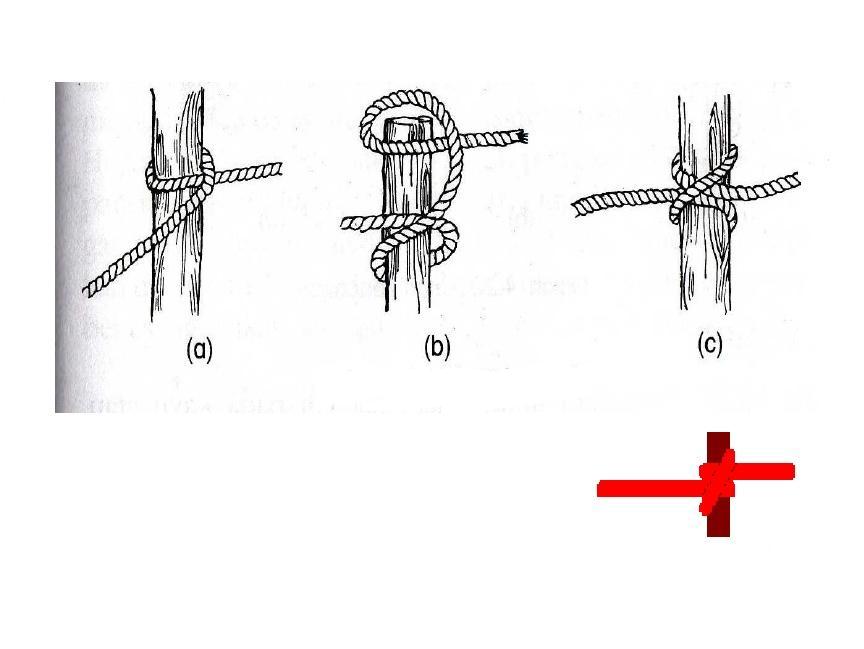JPAM SIK: IKATAN DAN SIMPULAN ASAS
