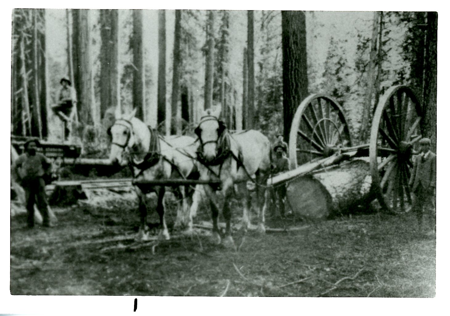 Siskiyou County Historical Society Outdoor Museum: Big Wheels/High Wheels