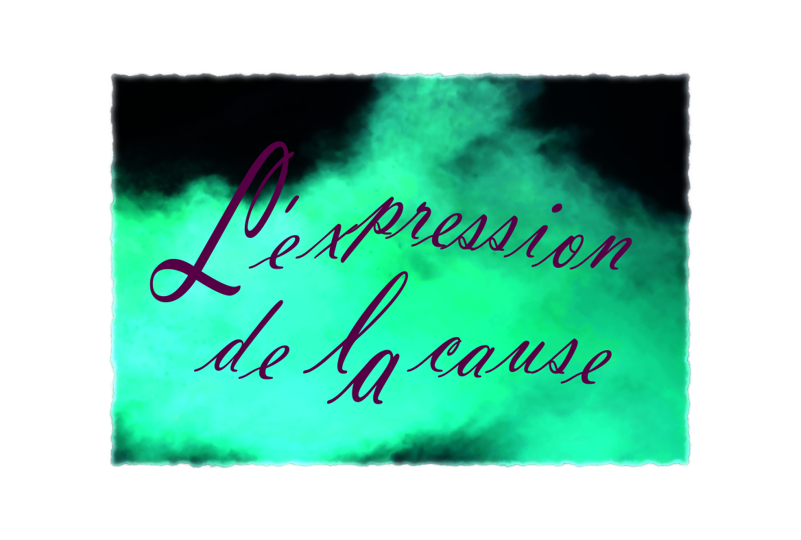 L'expression de la cause | marinafrances.blogspot.com