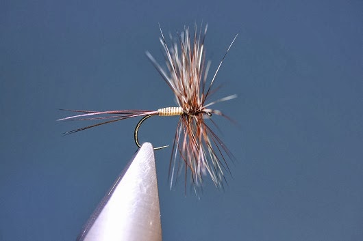 Niklas Dahlin -Flytier: Grey Fox Variant