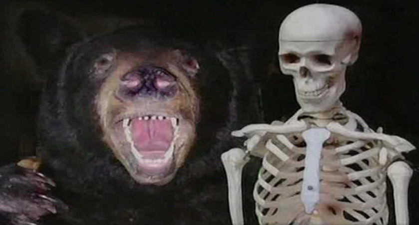 imid: Warning! - Scariest picture ever IN whole World - imid i-mid