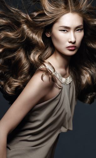 Atelier Emmanuel Hi-lites: iNOA Color's New formula: What has changed ...