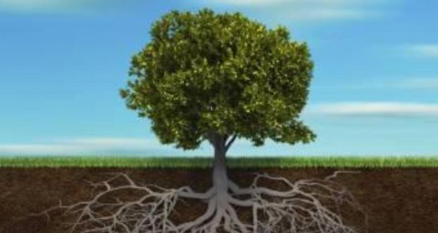 AS THEY WERE: IRISH ROOTS: WHY WE LOVE HERITAGE WEEK