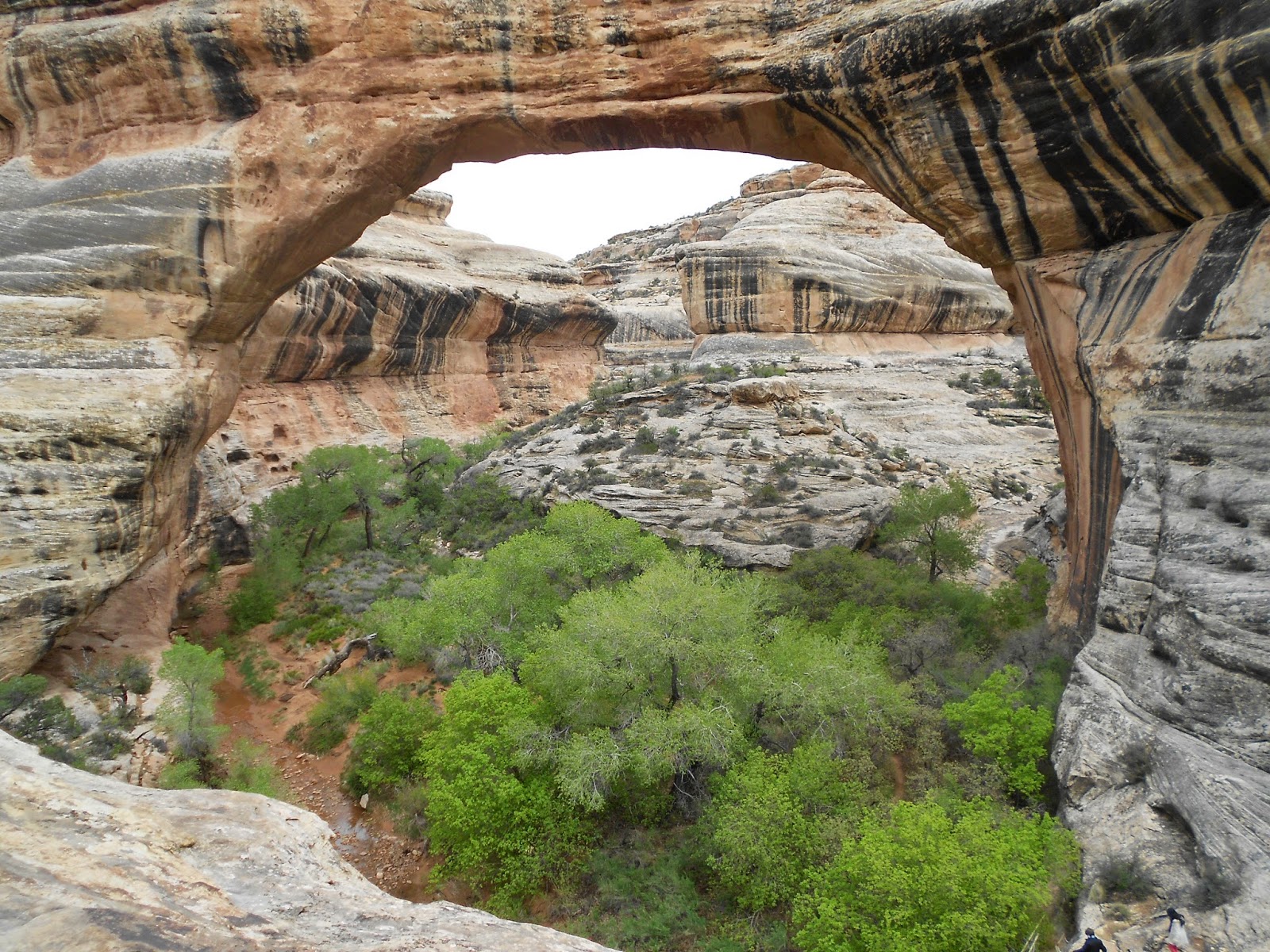 The Mystery Of Utah History: Southeast Utah -- Where the Wild Wild West ...