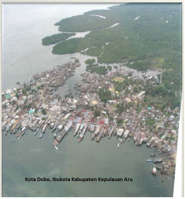 THE CULTURE OF ARU ISLANDS DISTRICT IN MALUKU PROVINCE: Public ...