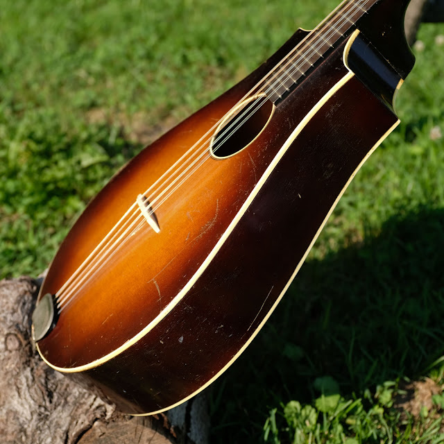 1930s Regal Octofone Octave Mandolin/8 String Tenor Guitar