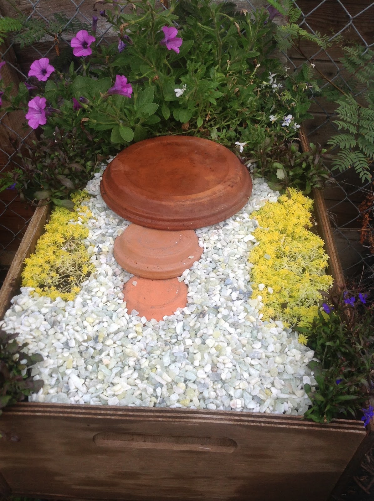 Grandma's Enchanted Fairy Garden: Fairy Garden Class - Large Box Container