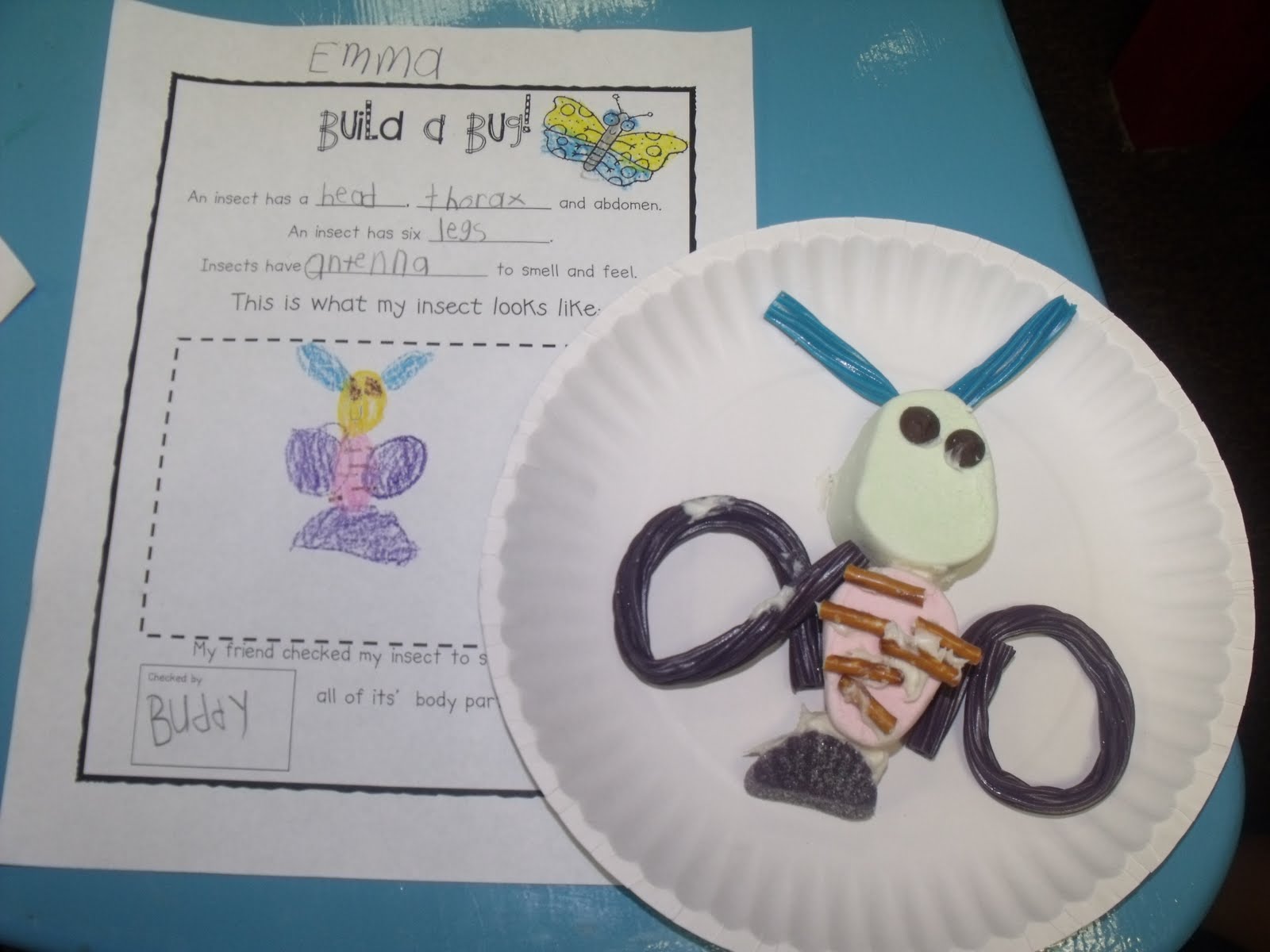 BYE Bye Insects - Mrs. Jump's Class