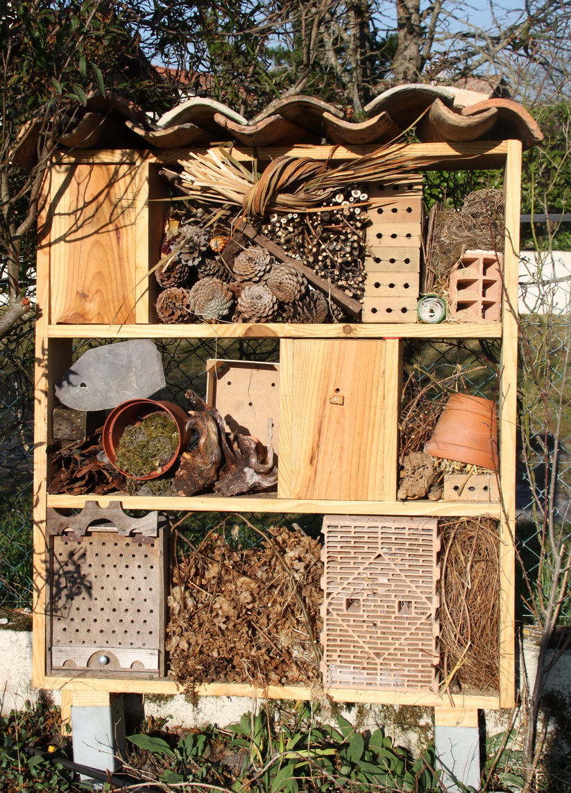 Association La Molène: Autre modèle d'hôtel à insectes