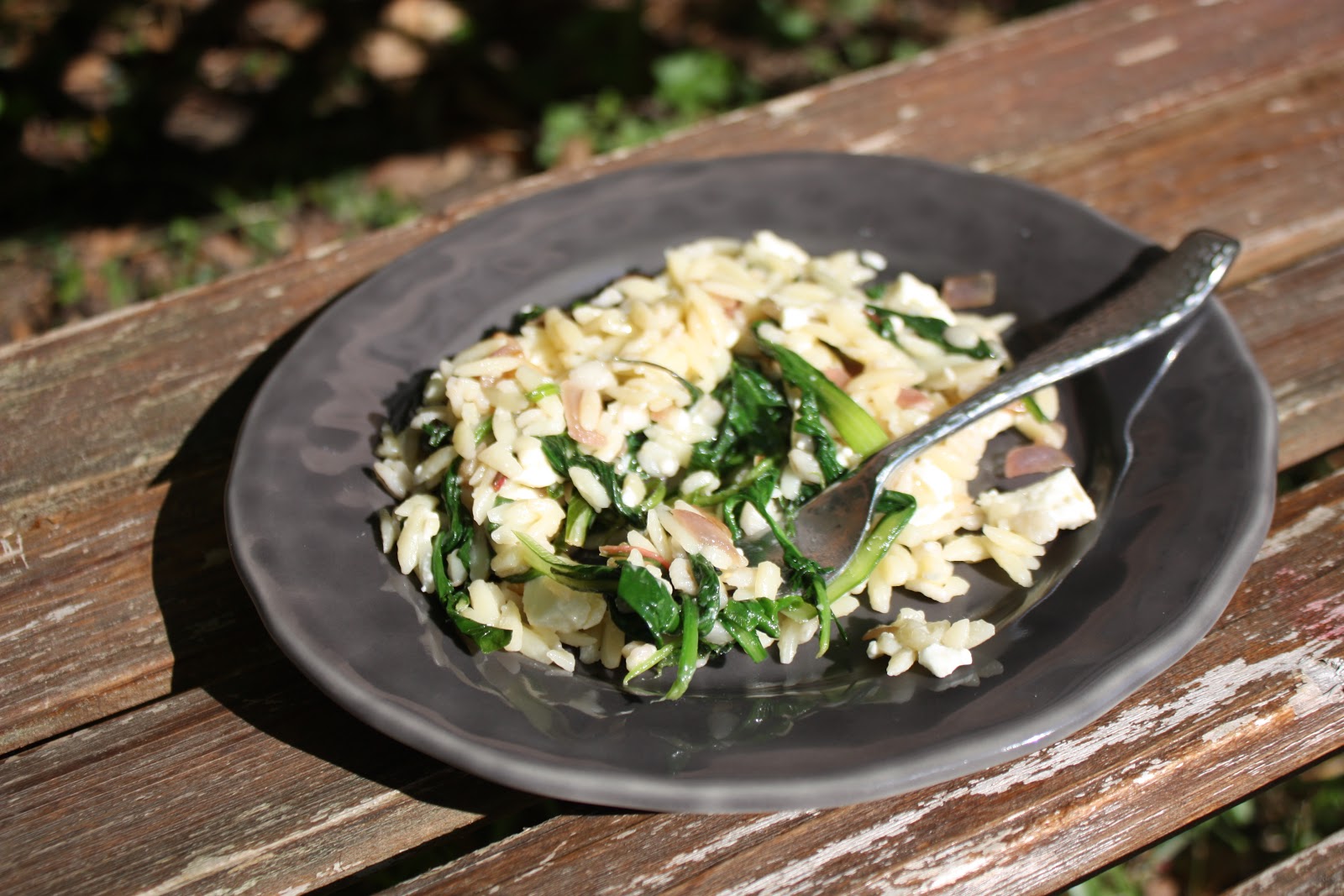 Chow and Chatter: Orzo, Barley and Spinach salad