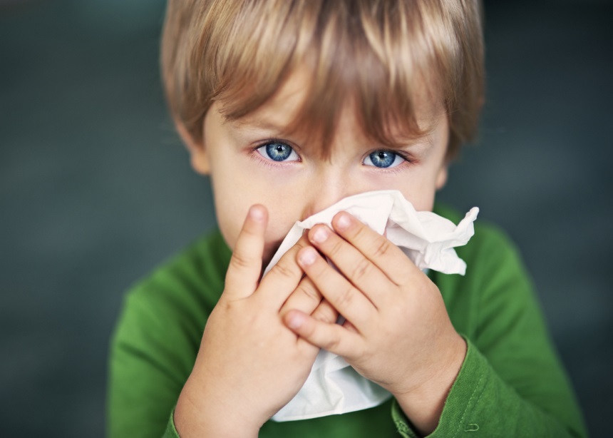 PEDIAMED: What Happens in a Nasal Allergy Attack? -ΑΛΛΕΡΓΙΚΗ ΡΙΝΙΤΙΔΑ