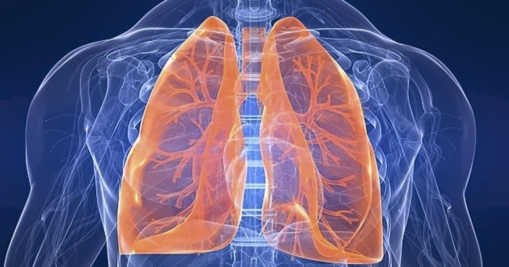 Nama Obat batuk tuberculosis paru paru gangguan pernafasan di apotik