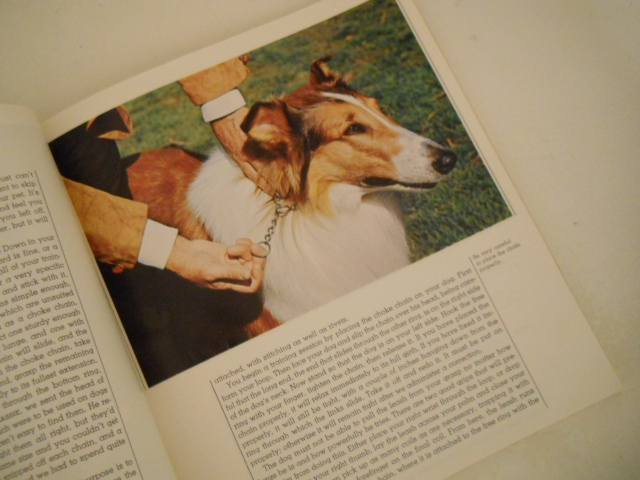 Terrierman's Daily Dose: The Lassie Method of Dog Training