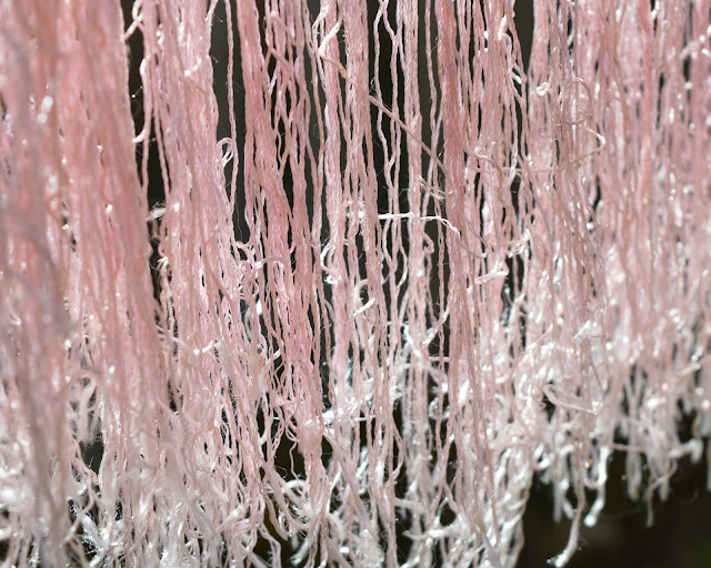 Miri boheme: freshen your fringe! How to make long silk fringe look ...