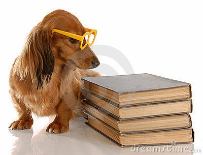 Dog Education - Enjoyable Puppy Obedience Training Techniques | Dog ...