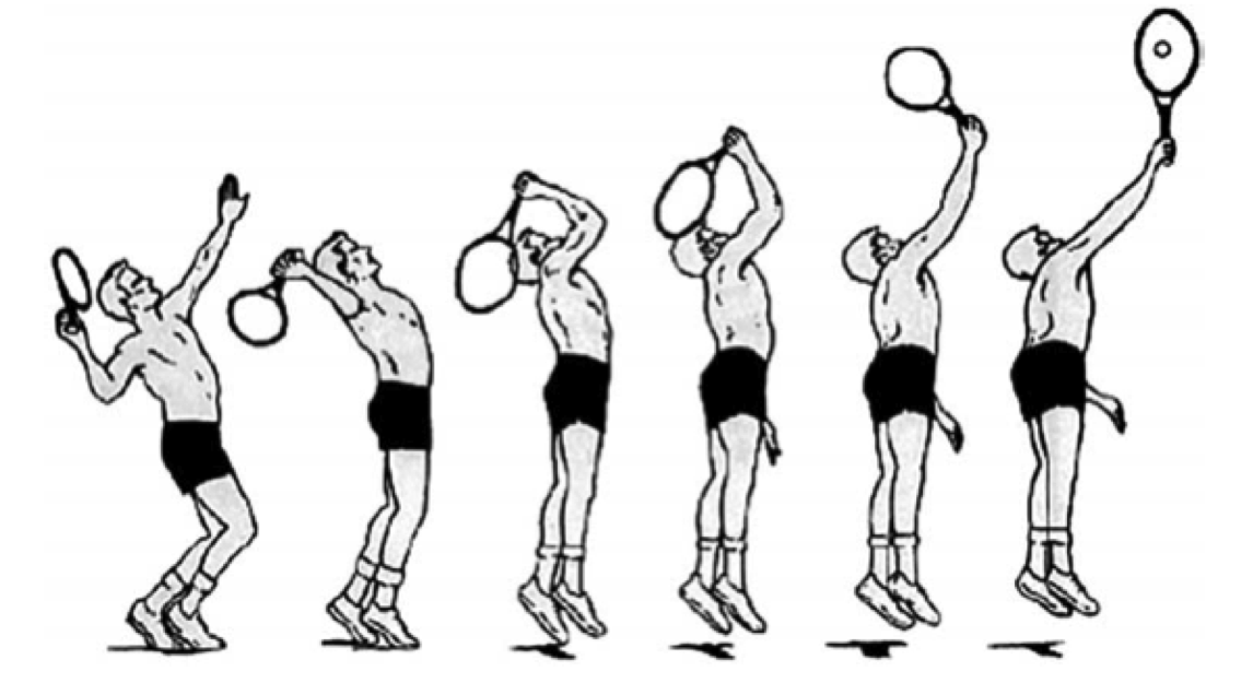 BIOMECHANICS BLOG: Kinetic Chain: