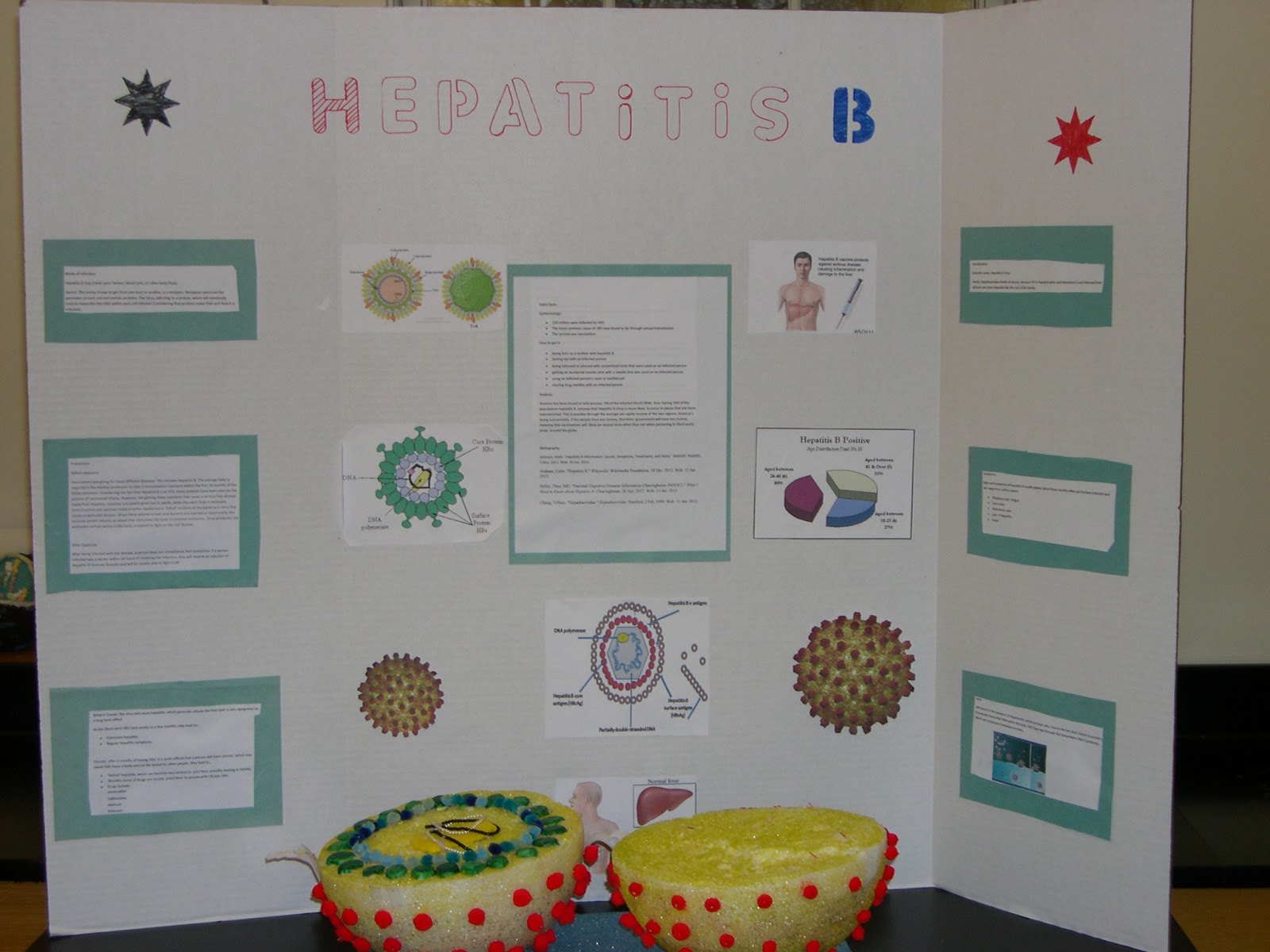 Bronxville Science Department: Honors Biology II Virus Projects